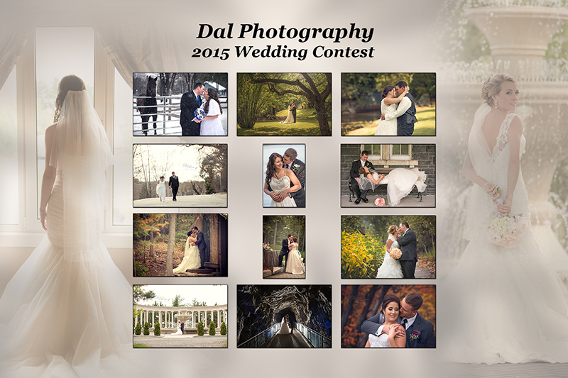 2015 Wedding Contest | Dal Photography | Sudbury Finest Photography Studio